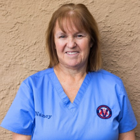 Veterinarians in Coatesville, PA - Brandywine Valley Veterinary Hospital