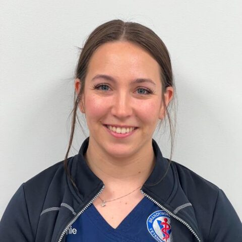 Veterinarians in Coatesville, PA - Brandywine Valley Veterinary Hospital