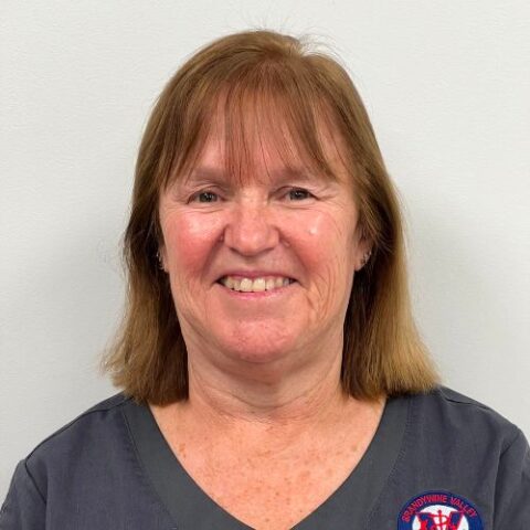 Veterinarians in Coatesville, PA - Brandywine Valley Veterinary Hospital